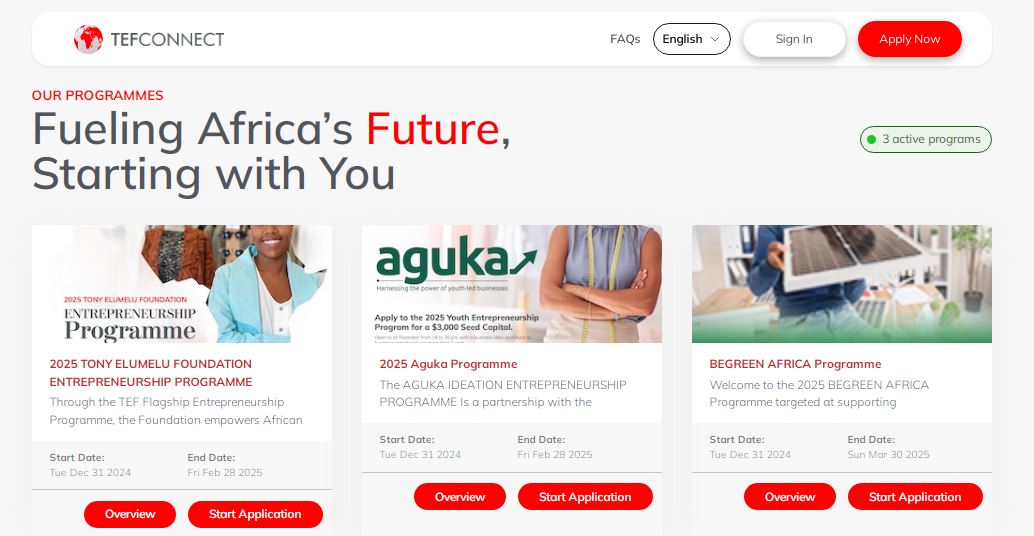 How to Apply For Tony Elumelu Foundation 2025 Entrepreneurship Programme, History, Eligibility ...